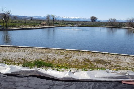 Carson Valley RV Park | Silver City RV Resort